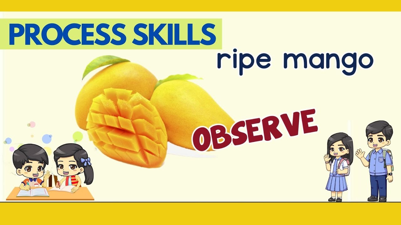 PROCESS SKILLS || OBSERVING IN SCIENCE ||  GRADE 2