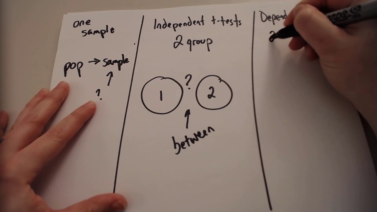 Three Types of t Tests