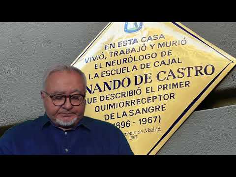Fernando de Castro (1896-1967) – Medicina, Historia y Sociedad