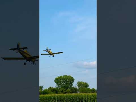 Crop Duster #shortvideos #short #cropdusting #7