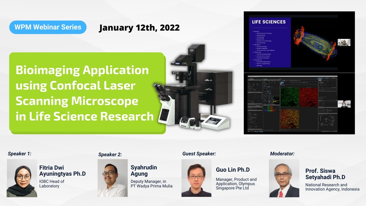 Webinar 