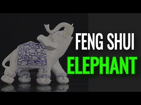 Feng Shui Elephant Placement -5 Things You Should Not Be Keeping In Your House Anymore