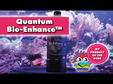 Product of the week. All you need to know about Quantum Bio-Enhance™