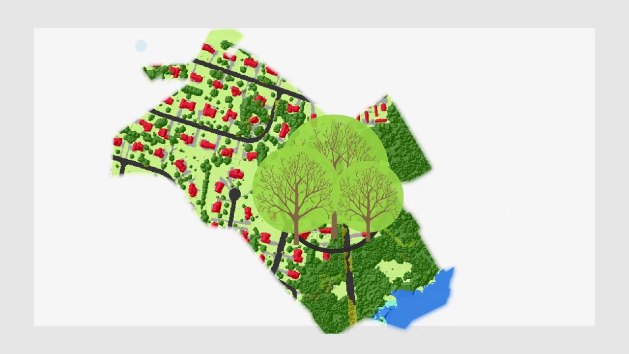 Introduction to Urban Tree Canopy (UTC) Assessments
