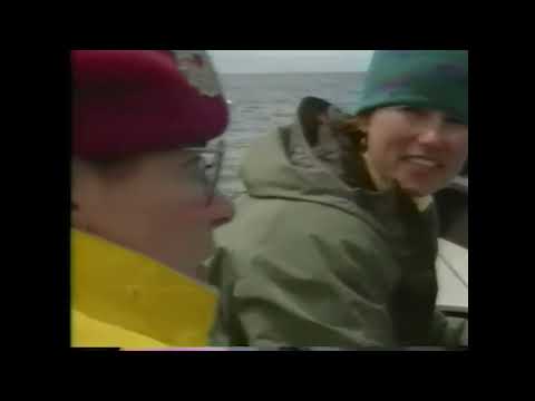 Anyplace Wild S02E01 Islands In Time: Rowing To Matinicus Rock, Maine