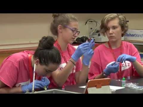 RIT/NTID Campers Learn STEM Skills