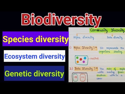 Biodiversity | levels of biodiversity | Biodiversity and its levels