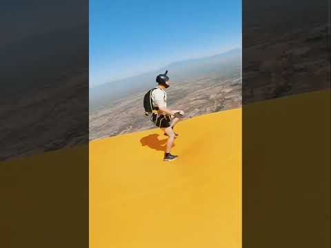 Professional or Crazy ? ? ?