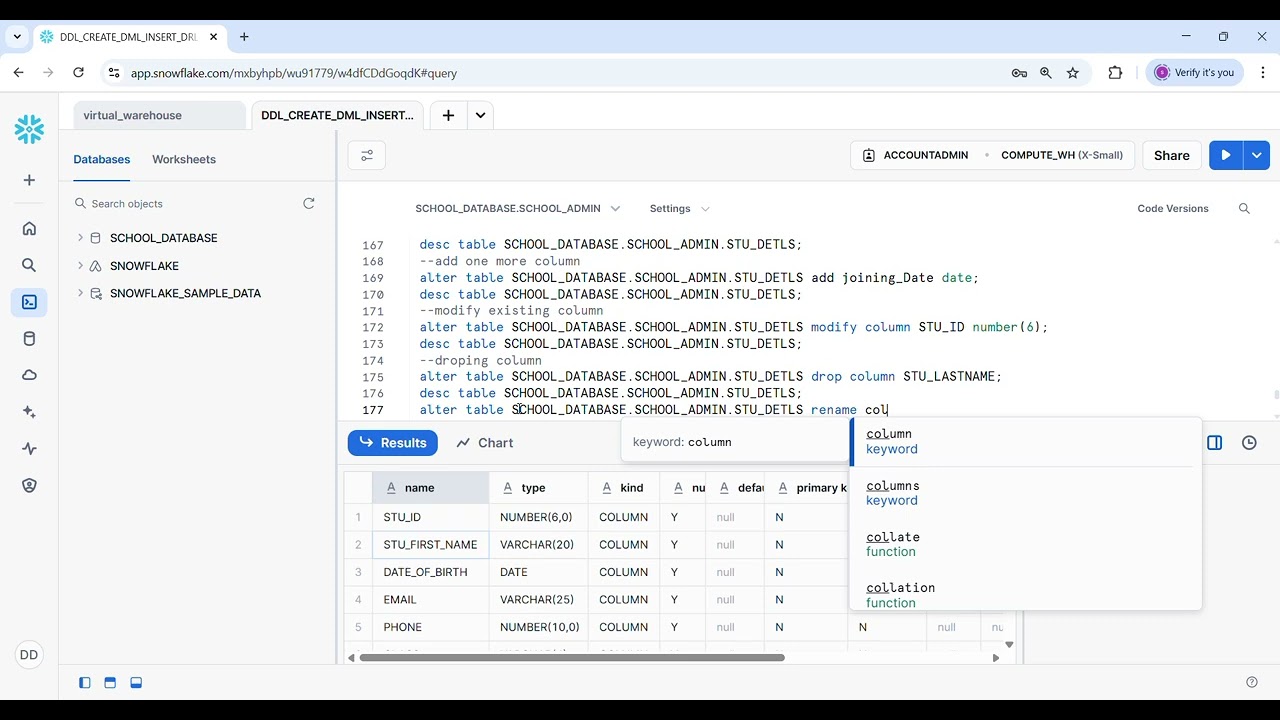 6_1_4 DATA ENGINEER SQL SNOWFLAKE ALTER COMMENT