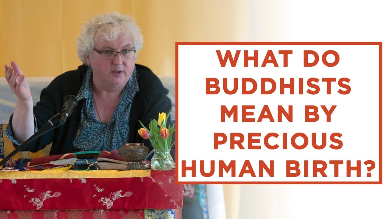 What do Buddhists mean by 'precious human birth'?