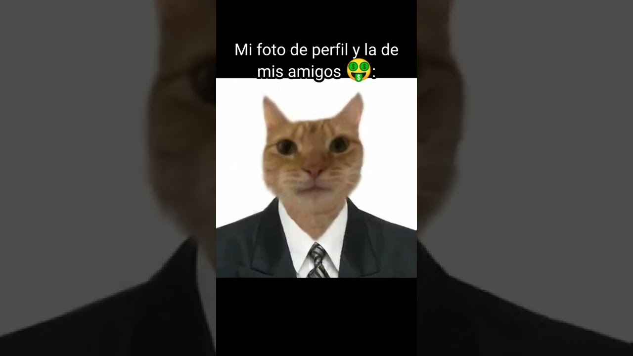 SI CIERTO 🤑 #shorts #humor #youtube #foto #perfil #fyp #nose #basado #xd #shitposting