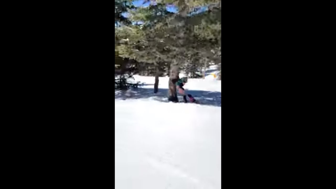 Bikini Snowboarder Slams Into Tree and Fall Hilariously