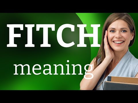 Fitch | what is FITCH meaning