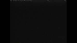 Silent White Screen Of Death On My Happily Ever After 1993 VHS (Version #1)