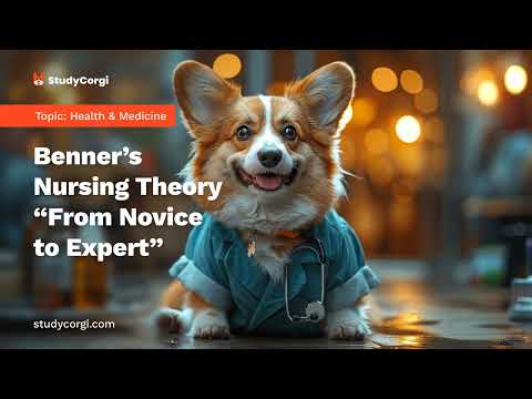 Benner's Nursing Theory "From Novice to Expert" - Research Paper Example