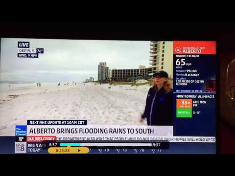 Stephanie Abrams near shark attack in Destin, FL Well sort of.