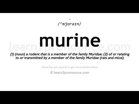 How to pronounce Murine | English pronunciation