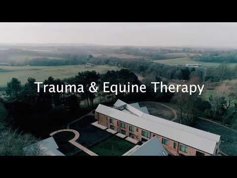 What is Equine Therapy? And how can it help in addiction treatment?
