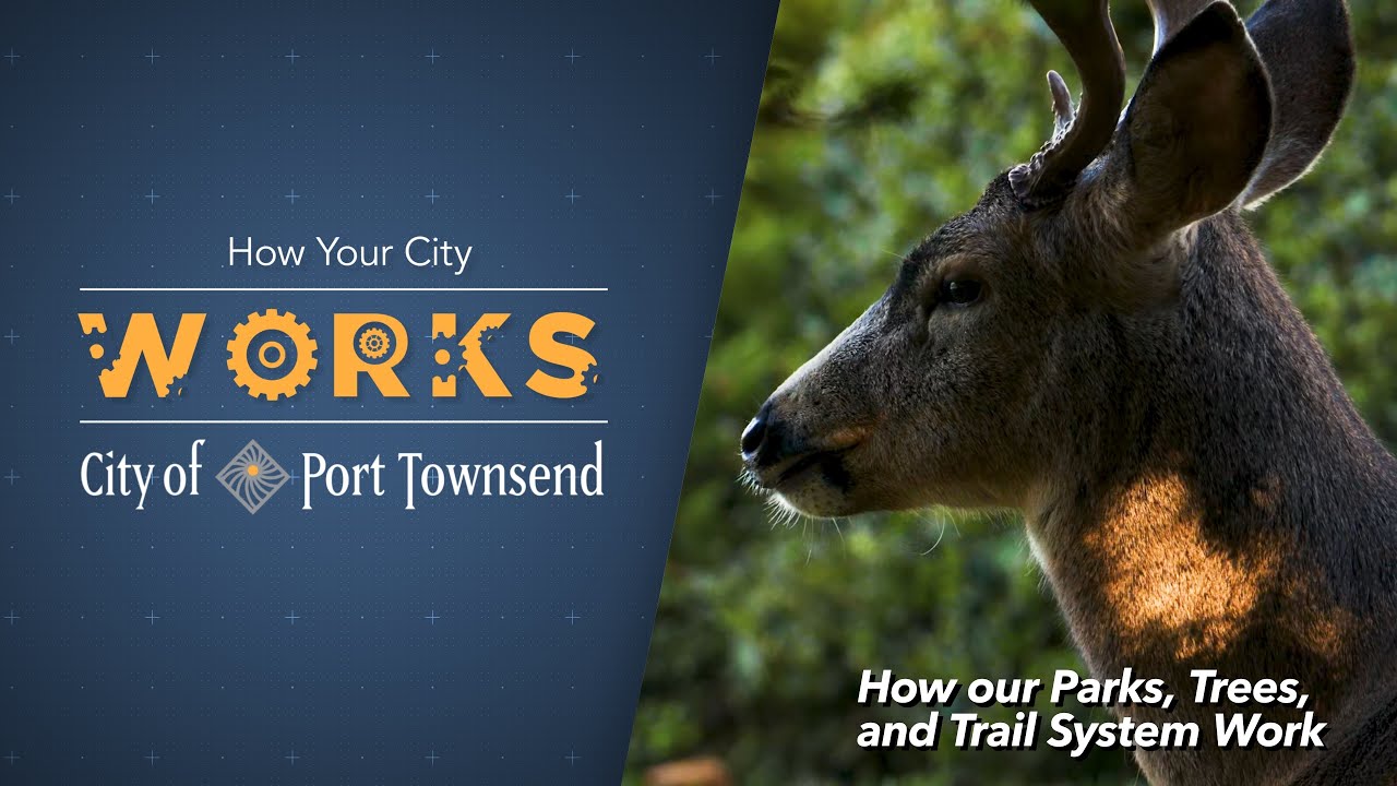 How Our Parks, Trees, and Trail System Works