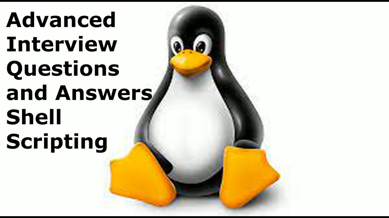 Important Shell Scripting Interview Questions and Answers | Shell Scripting
