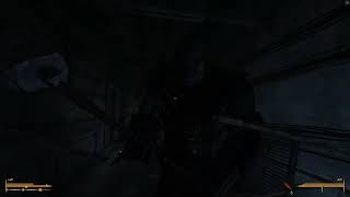 Fallout New Vegas - mods and community