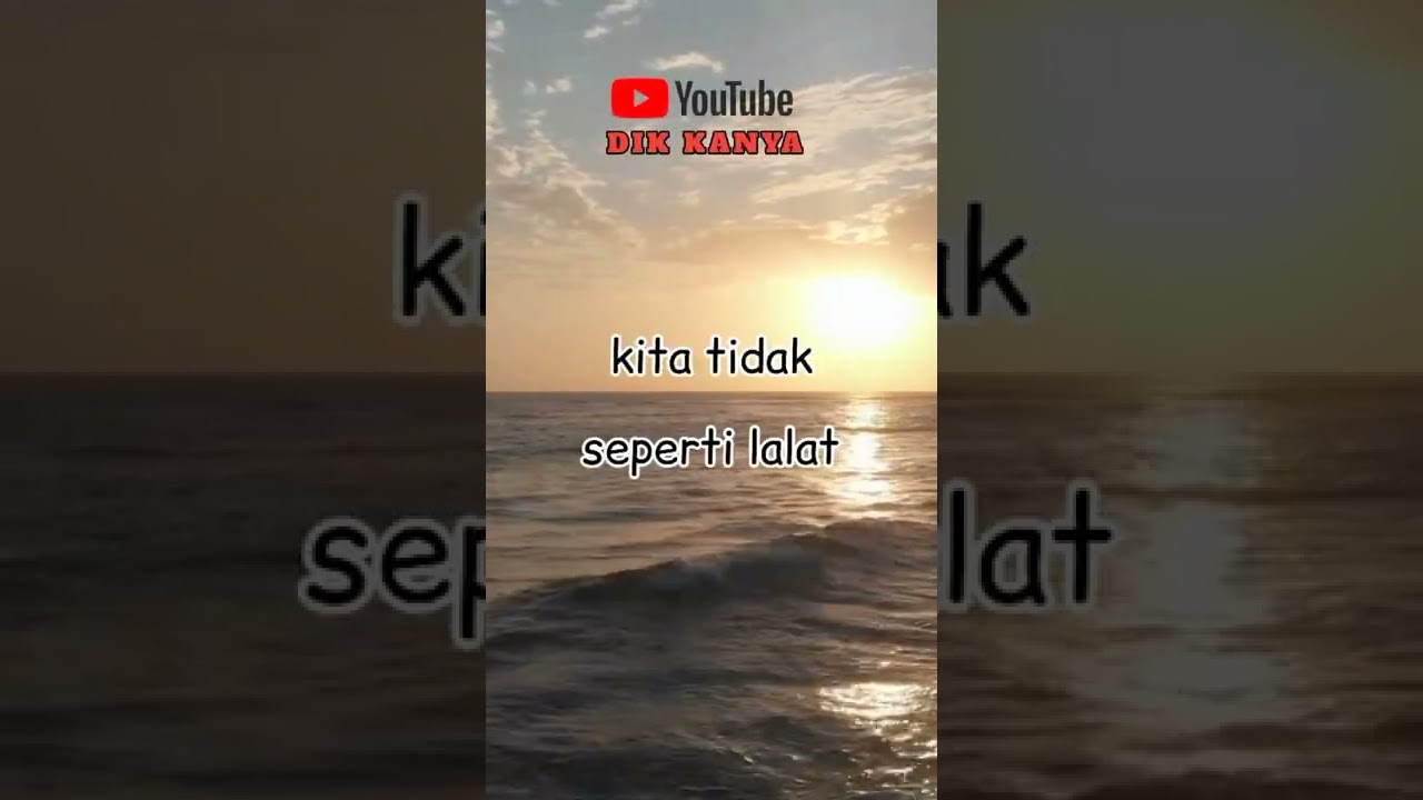 kata kata hari ini || sulit untuk meyakinkan lalat