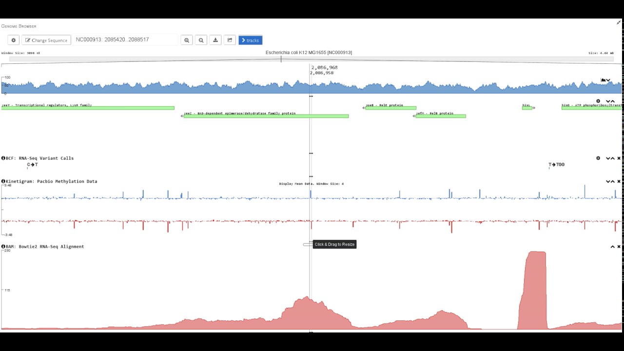 Genome Browser