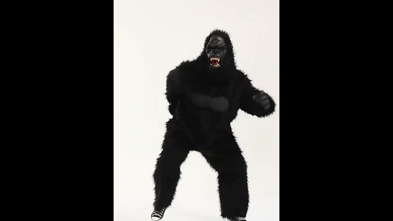 Gorilla Suit Adult Halloween Costume #gorilla #halloweencostume
