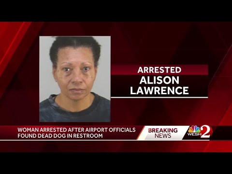 Woman arrested after dead dog found inside Orlando airport bathroom, police say