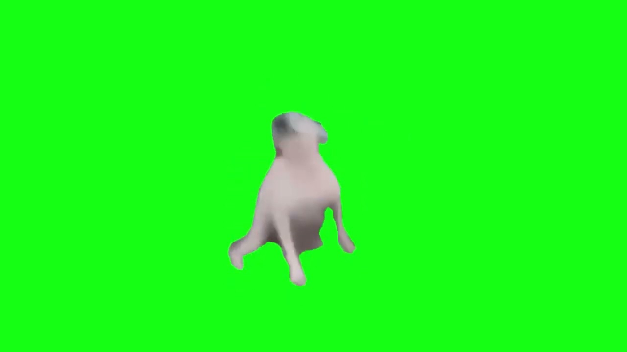 Dancing Dog Meme Green Screen Crying Sound Effect