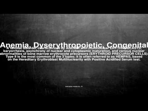 Medical vocabulary: What does Anemia, Dyserythropoietic, Congenital mean
