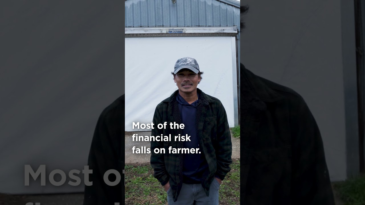 What is contract farming?