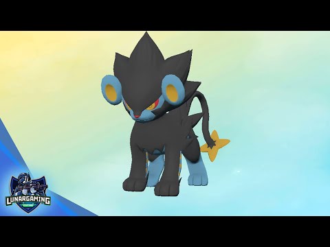 What Level Does Luxio Evolve? - How To Discuss