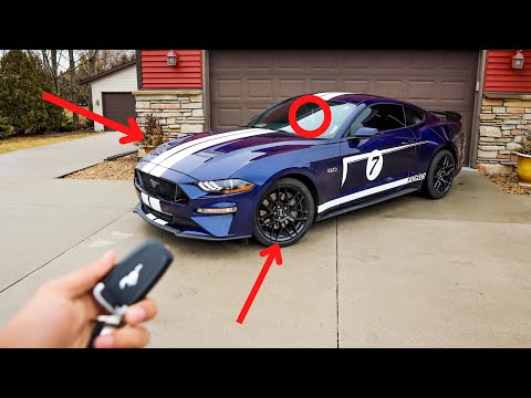 Mustang Tips And Secrets You Need To Know!!