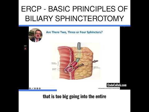 ERCP - Basic Principles of Biliary Sphincterotomy