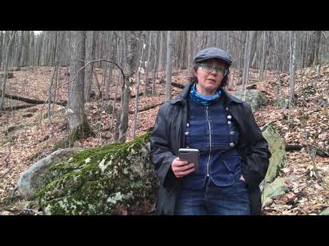 Each Against the Other – Pearl Pirie – Red Alder Review