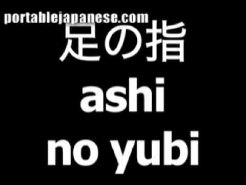 Japanese word for toe is ashi no yubi