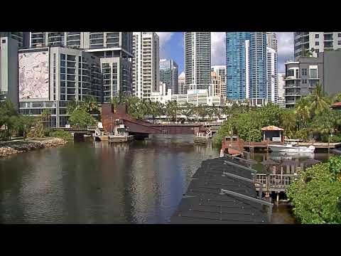 New River Live Feed