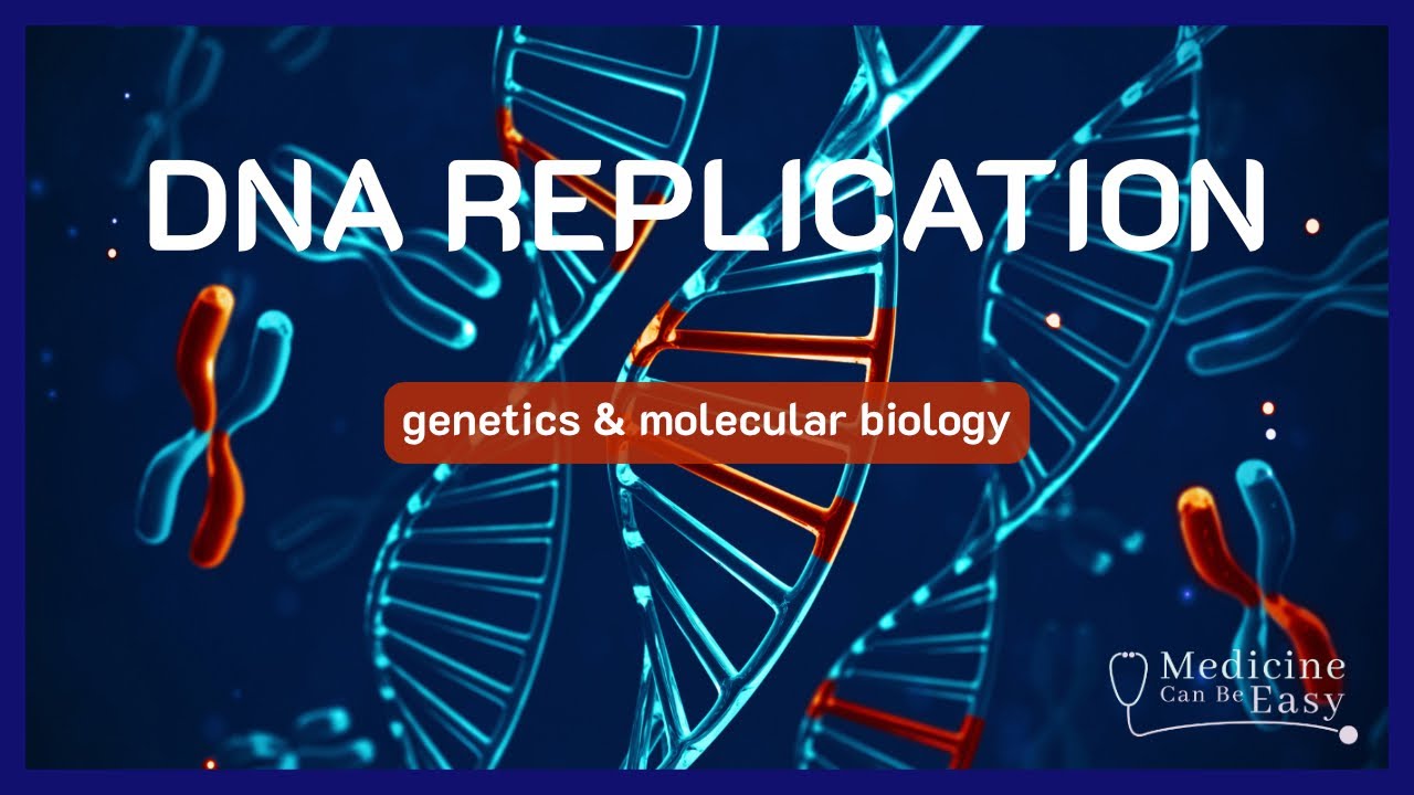 DNA Replication (+ NOTES)
