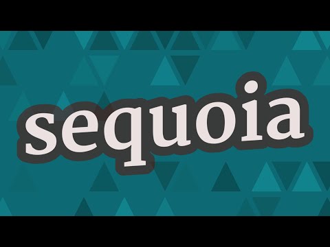 SEQUOIA pronunciation • How to pronounce SEQUOIA