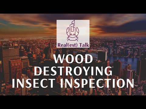🐛 Wood Destroying Insect Inspection 🐜