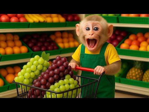 Monkey LiLy cute shows off cooking skills and shops for grapes at the supermarket🛒🍇| MONKEY LILY TDC