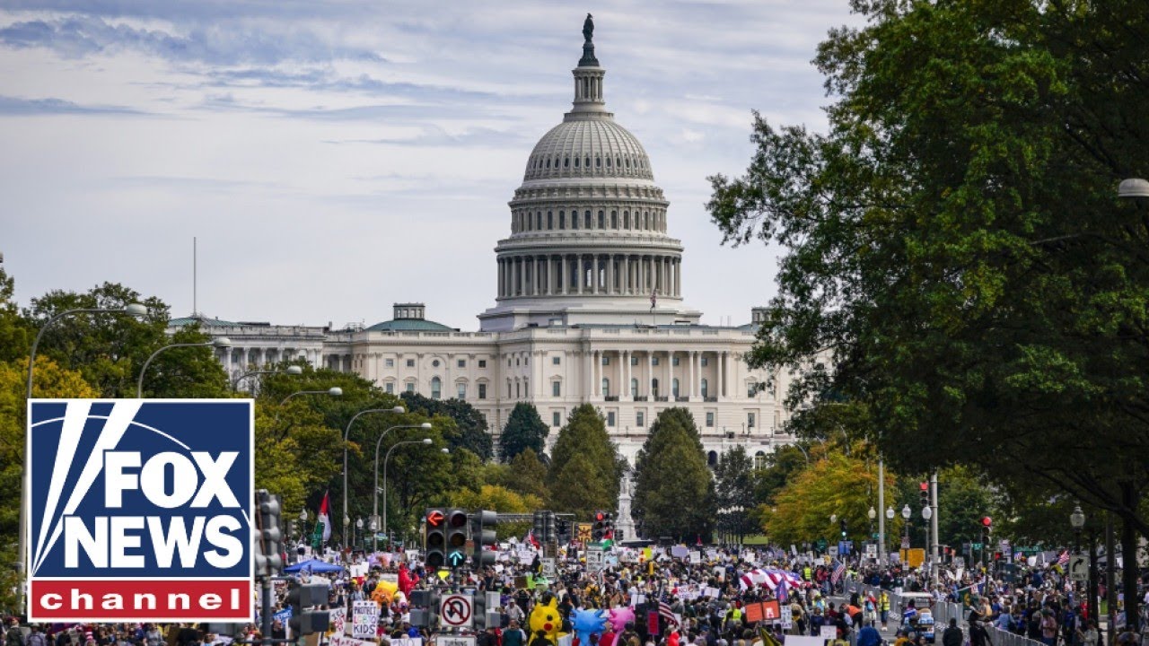 'REALLY BAFFLING': Inside the 'No Kings' protests