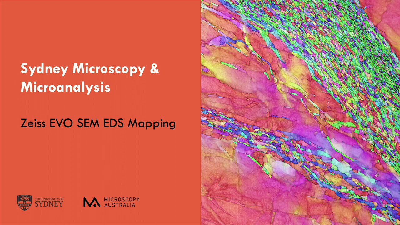SEM: Zeiss EVO SEM EDS Part 2: Map