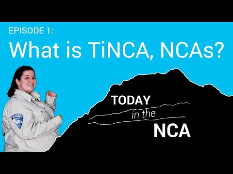 Today in the NCA E01: What is TiNCA, NCAs