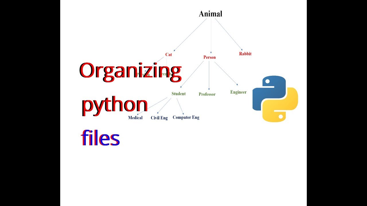 How to professionally organize Python Scripting ?