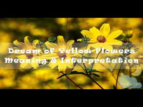Dreams about Yellow Flowers - Meaning & Interpretation