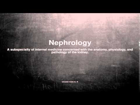 Medical vocabulary: What does Nephrology mean
