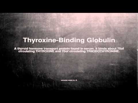 Medical vocabulary: What does Thyroxine-Binding Globulin mean
