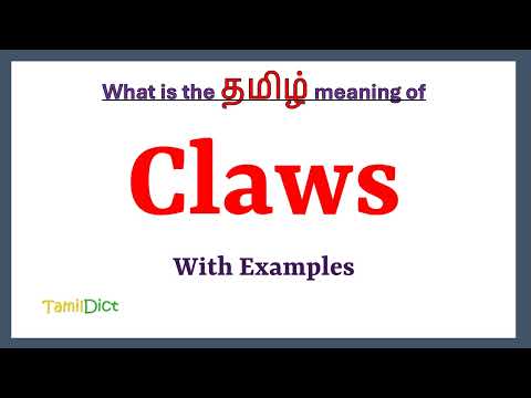 Claws Meaning in Tamil | Claws in Tamil | Claws in Tamil Dictionary |